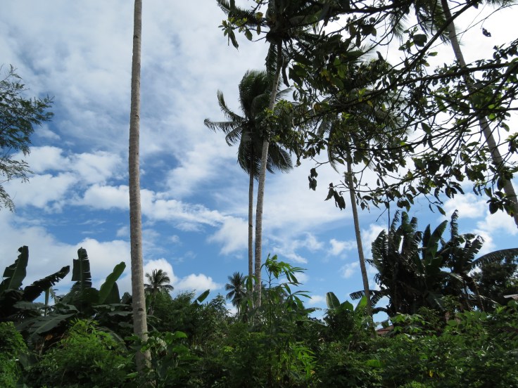 Suanggi: The Dreaded Witches of Maluku in the Early Modern Period ...